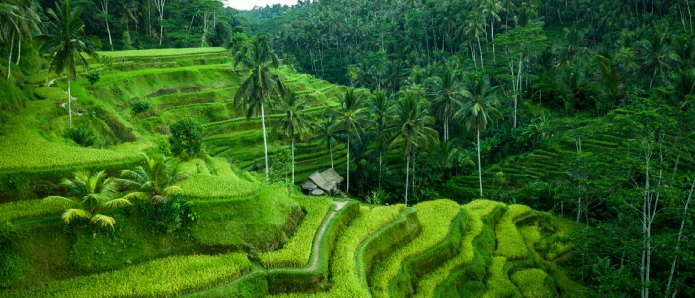 Ledovana kelionės » viešbučiai, automobilių nuoma, keltai, kruizai